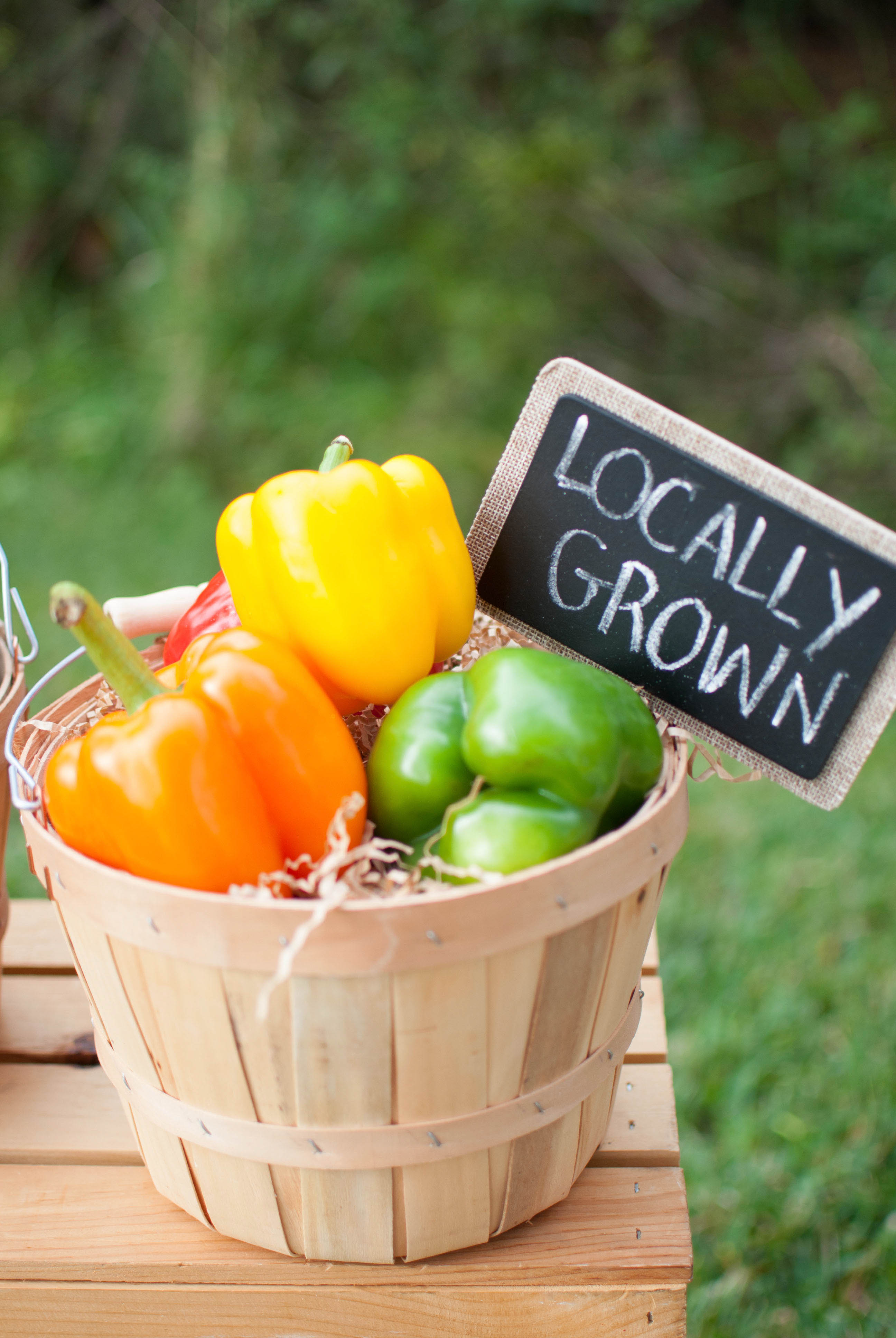 A Garden Party - TWINKLE TWINKLE LITTLE PARTY