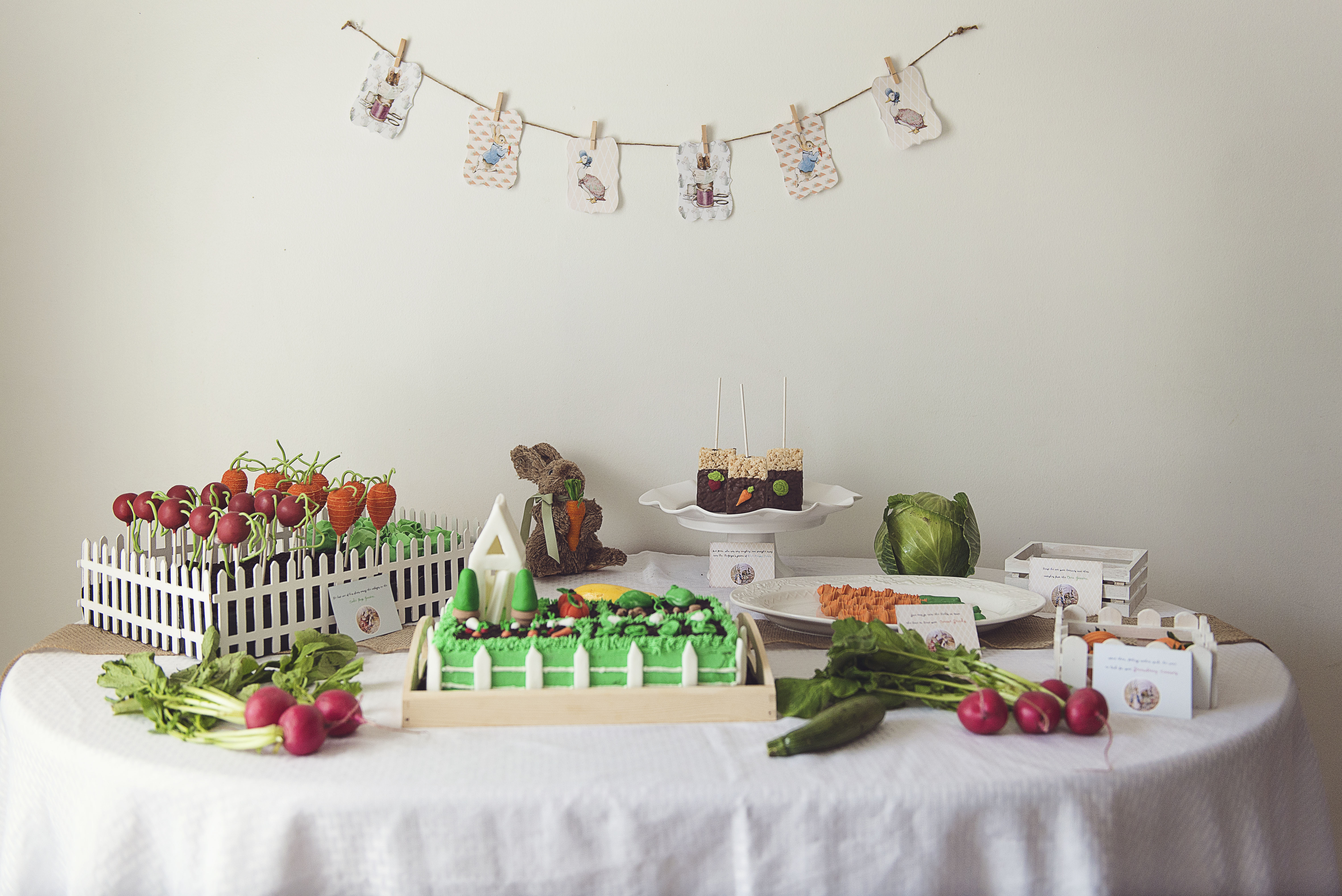 Peter Rabbit Birthday Party - TWINKLE TWINKLE LITTLE PARTY