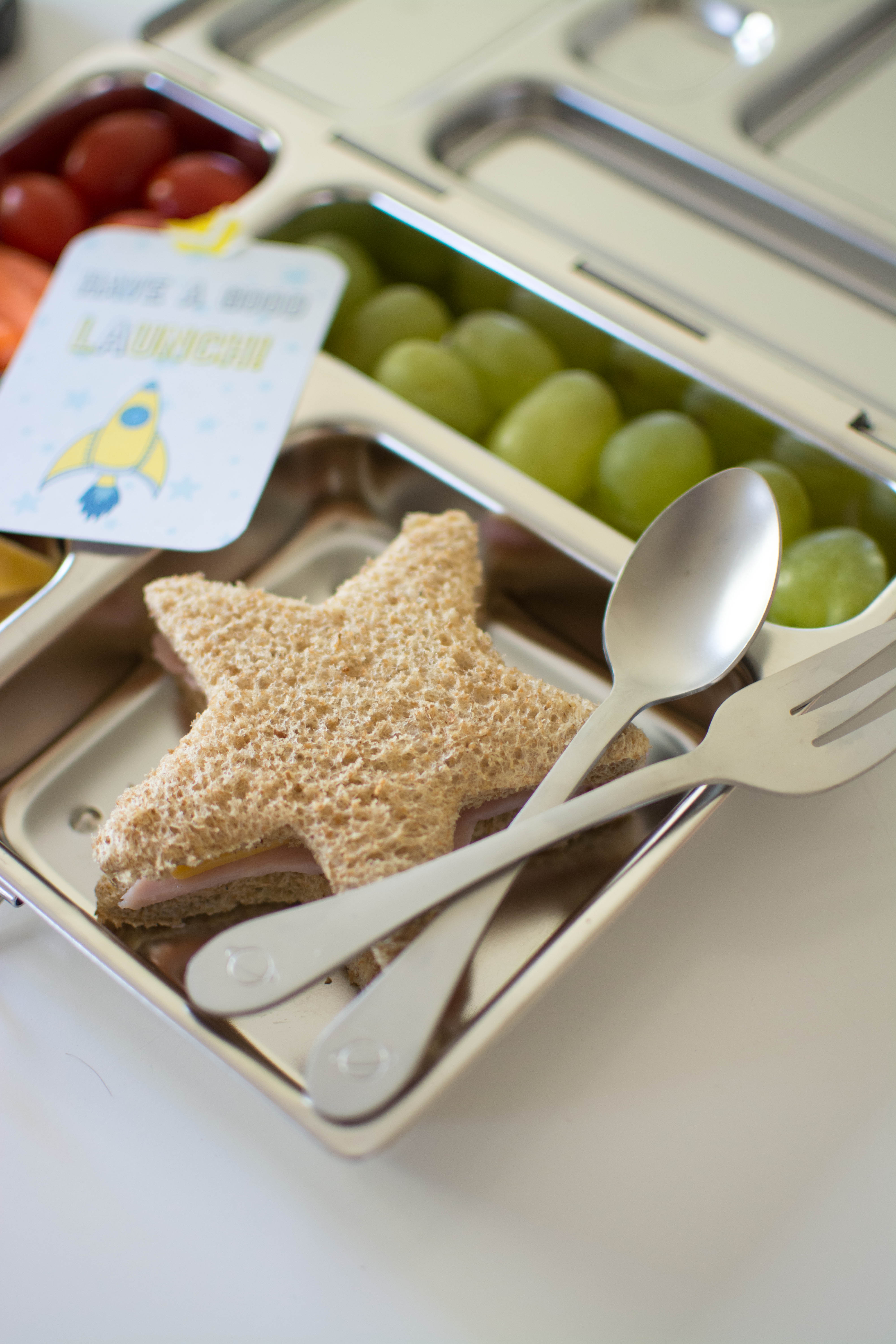 PlanetBox - The Eco-friendly Bento Lunchbox - TWINKLE TWINKLE LITTLE PARTY