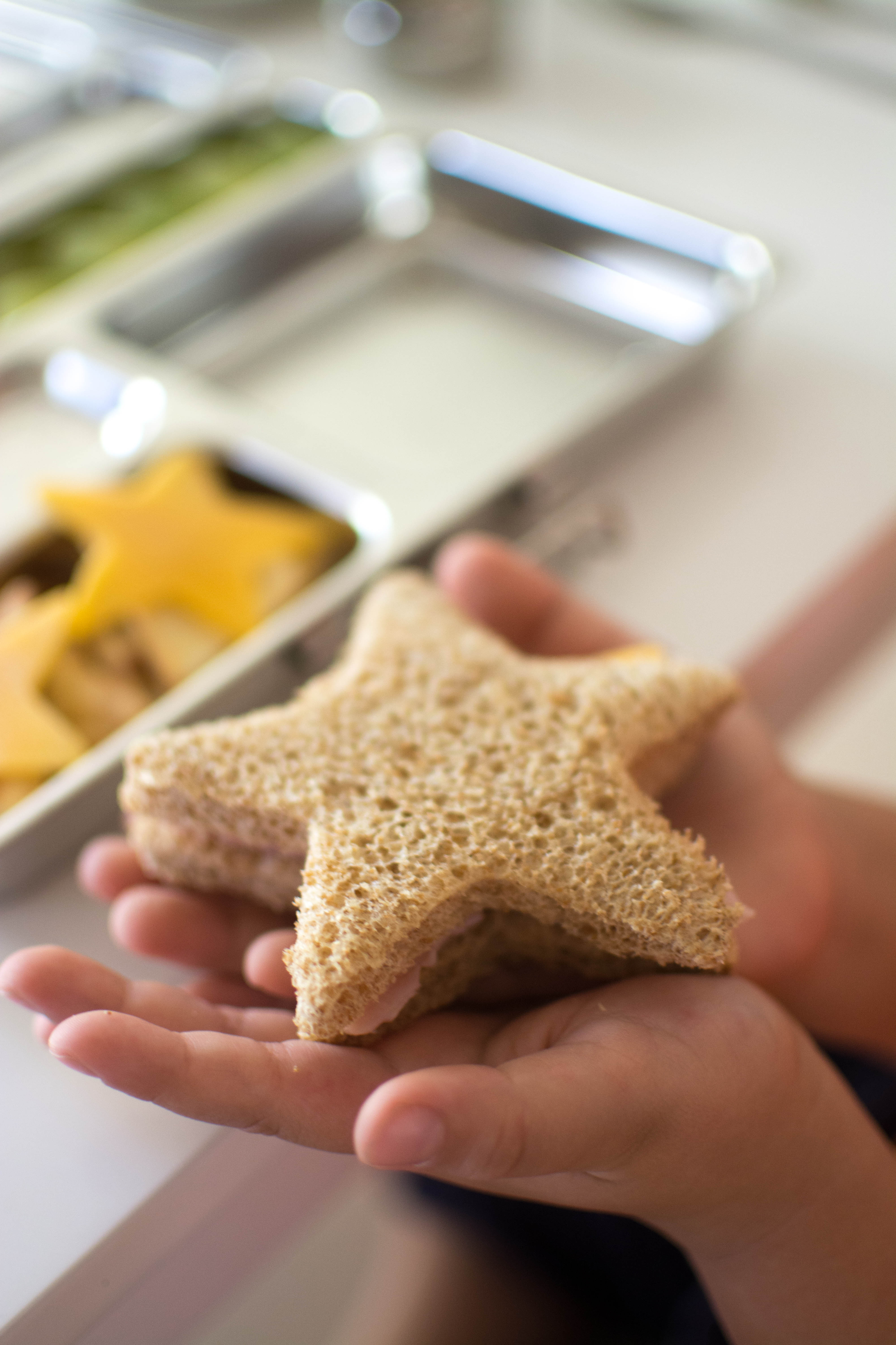 PlanetBox - The Eco-friendly Bento Lunchbox - TWINKLE TWINKLE LITTLE PARTY