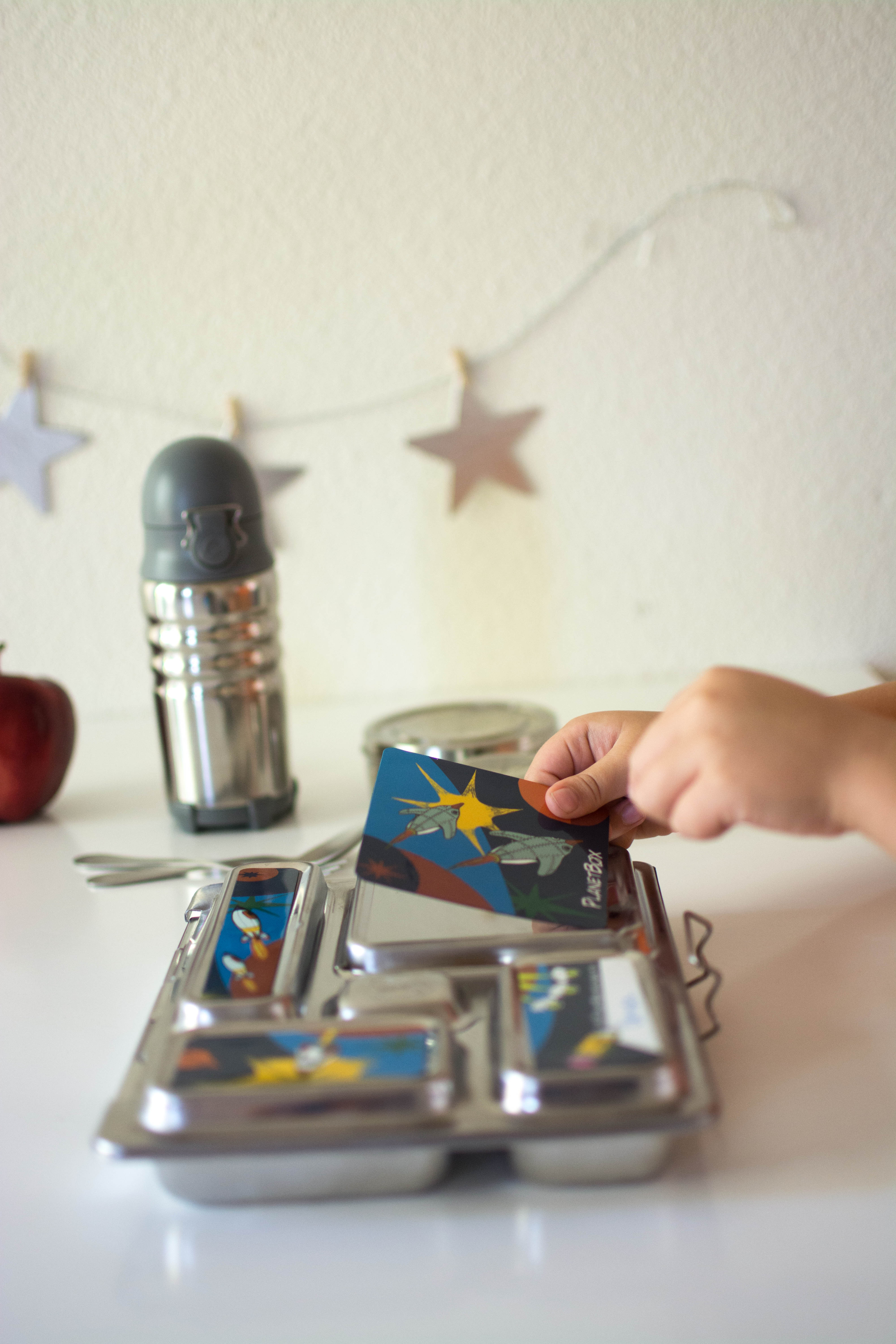 PlanetBox - The Eco-friendly Bento Lunchbox - TWINKLE TWINKLE LITTLE PARTY