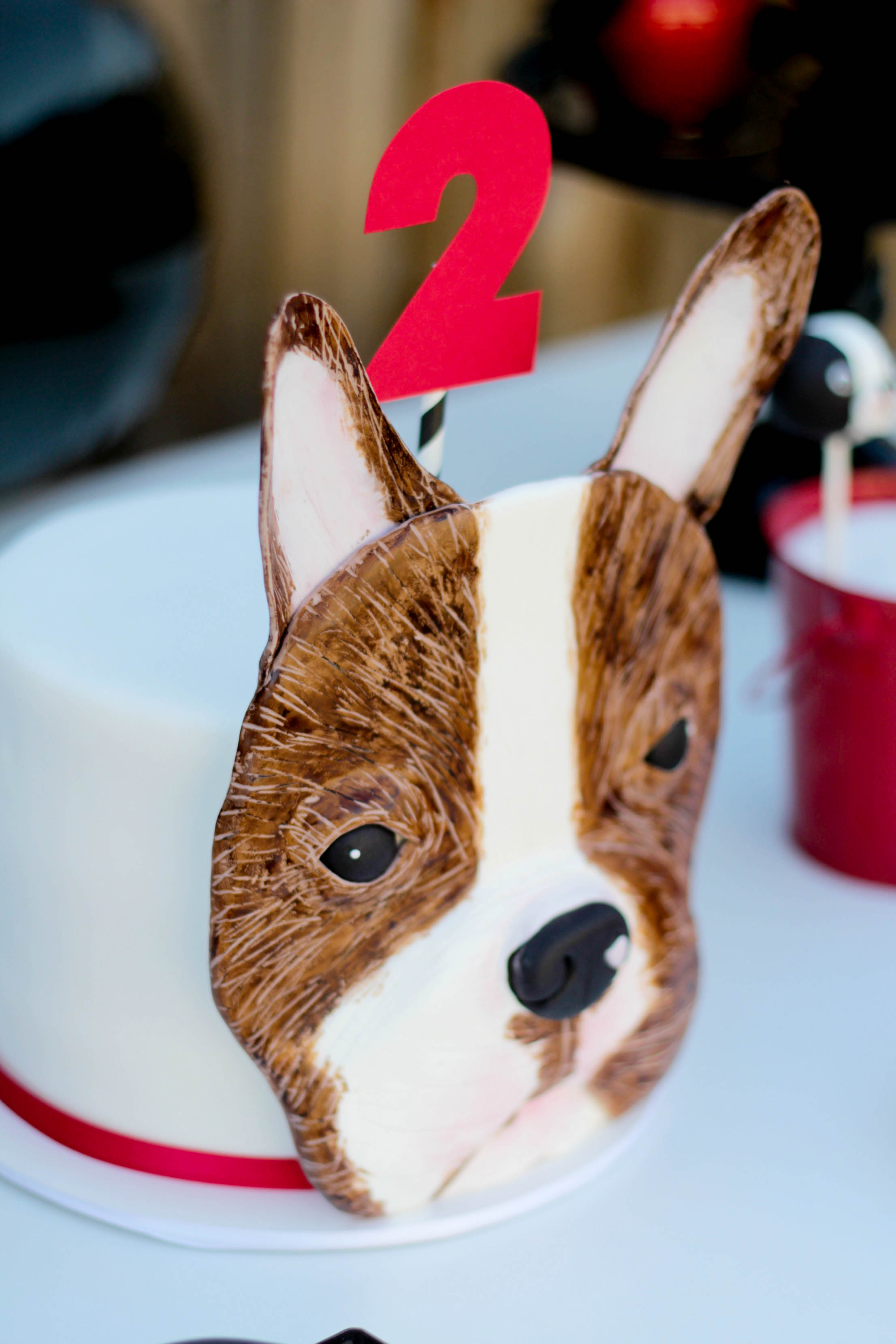 Adorable Frenchie Pawty Ideas