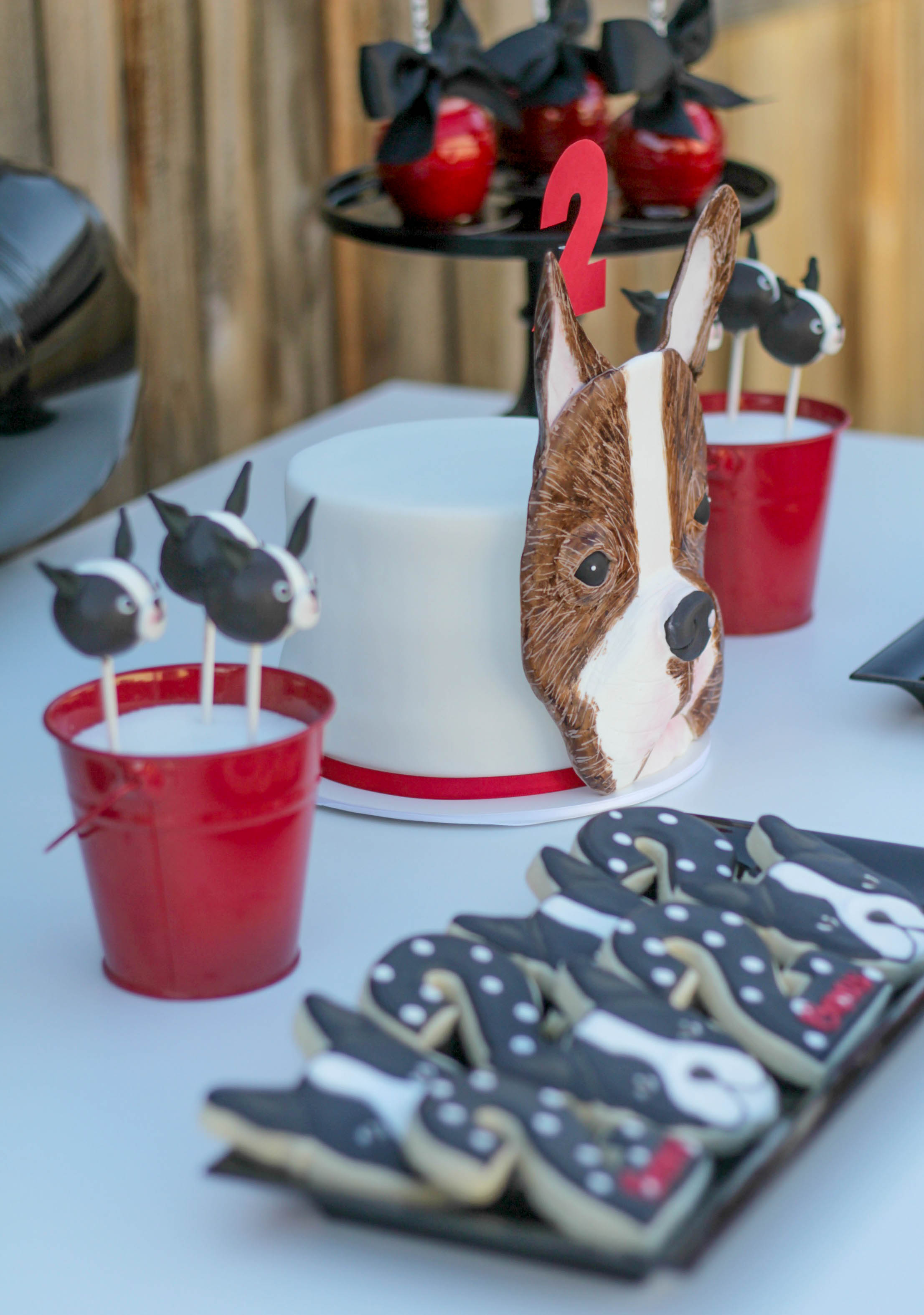 Adorable Frenchie Pawty Ideas